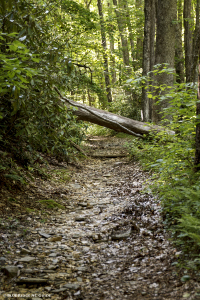 Typical natural path – Waterfalls Hiker